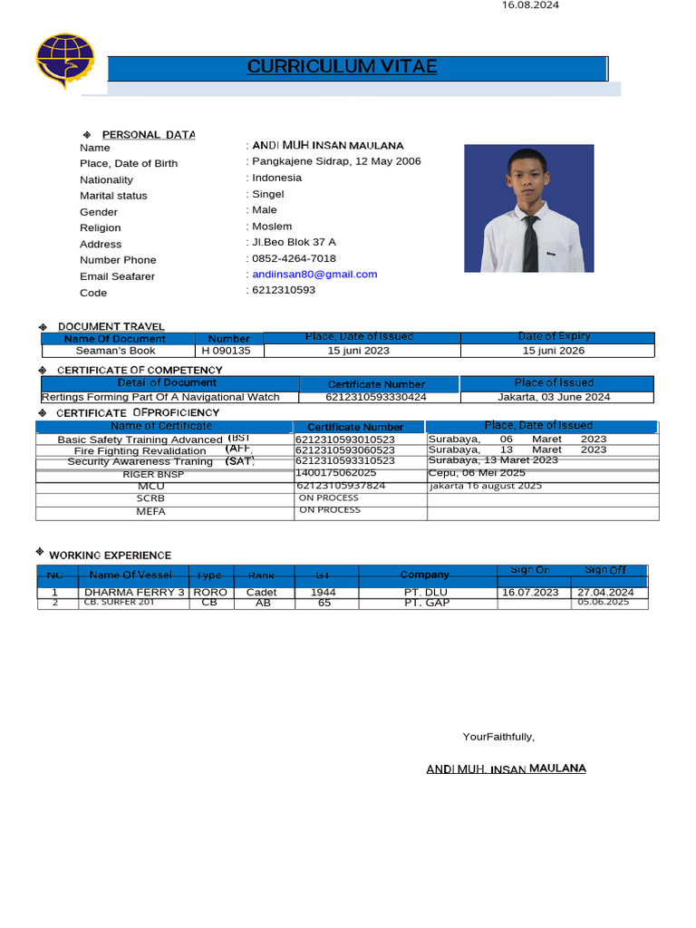 ANDI MUH. INSAN MAULANA CV PDF | PDF