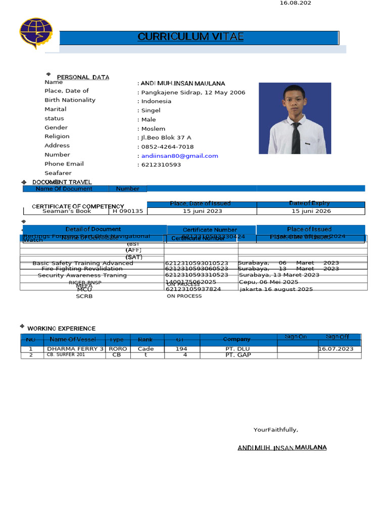 Andi Muh. Insan Maulana CV PDF | PDF