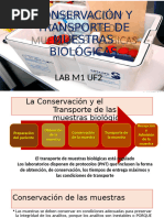 Rotulación e Identificación de Muestras | PDF | Histopatología ...