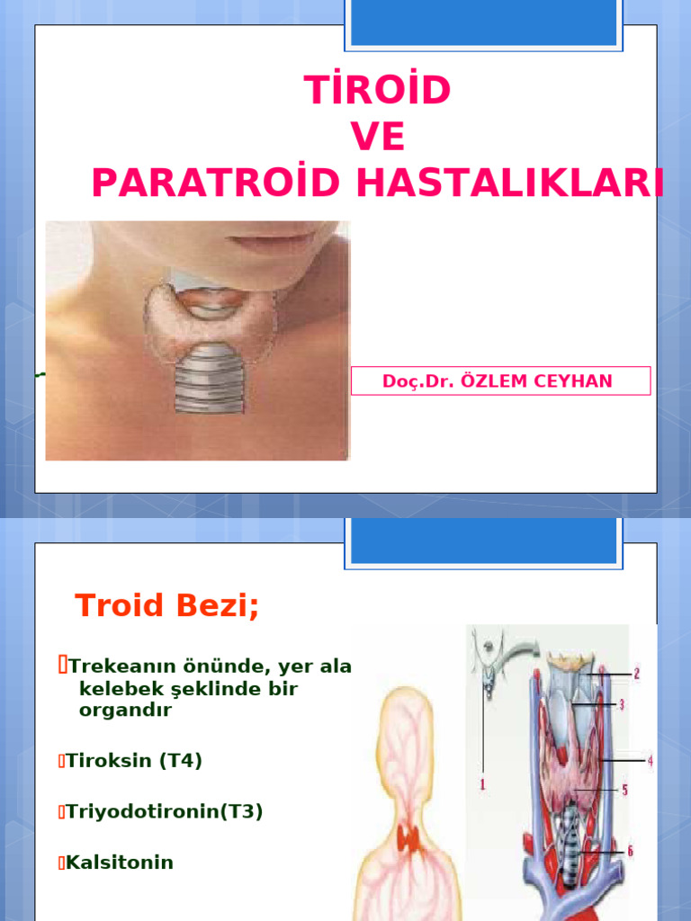 Troid Ve Paratroid Hastalıkları | PDF