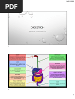Adaptations of the Small Intestine for Absorption | PDF