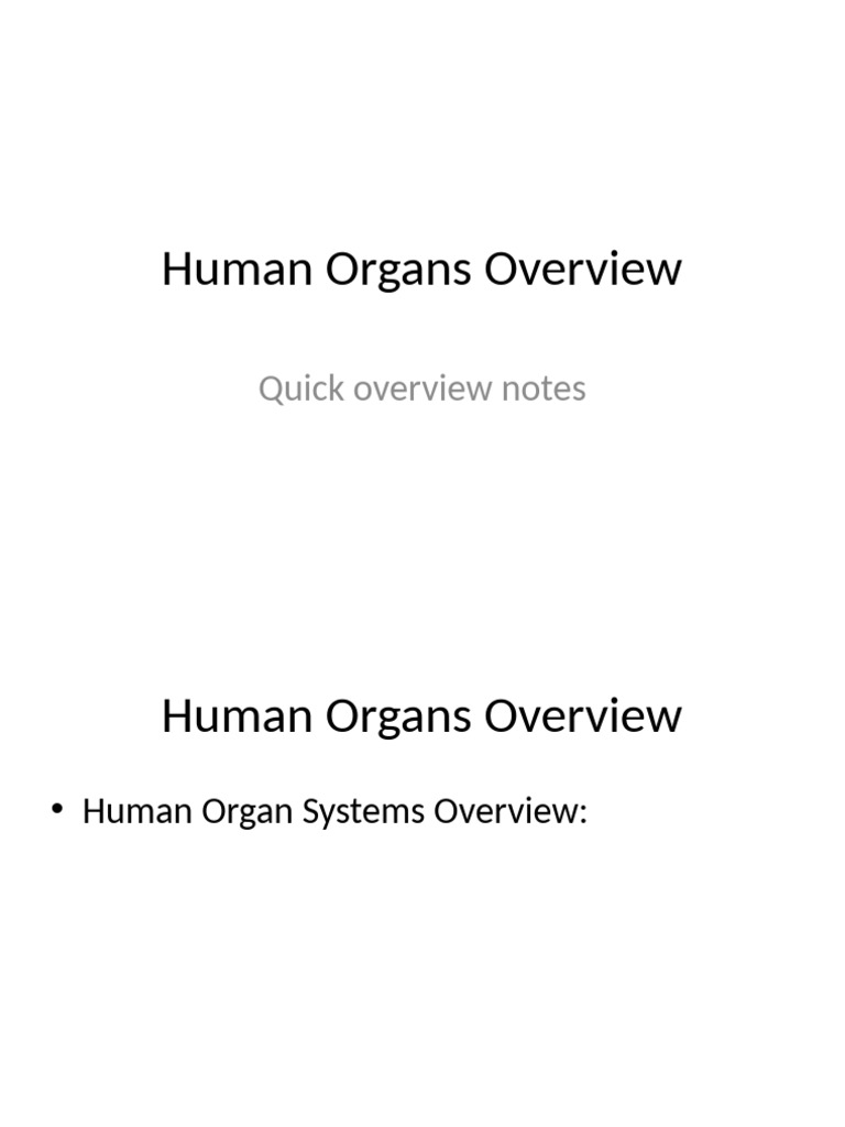 Human Organ Systems List | PDF