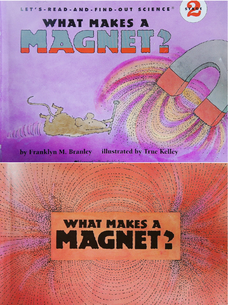 2-73 What Makes A Megnet | PDF