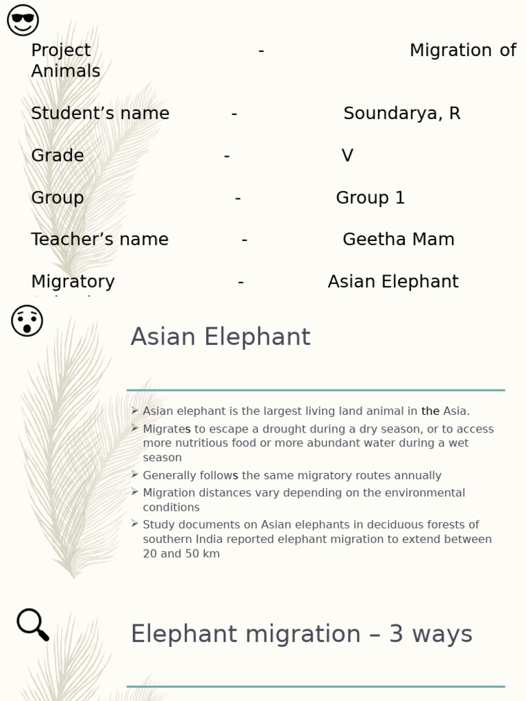 Science Project Corrected. | PDF