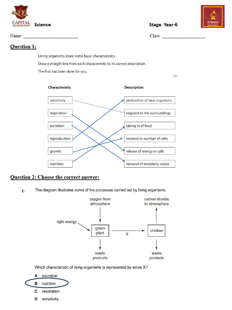 Friend or Foe Chapter 5 Questions | PDF