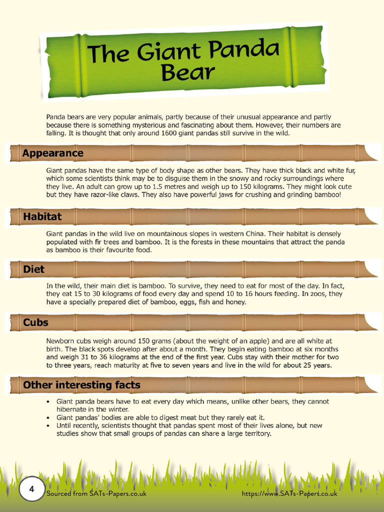 Ks2 English 2018 Reading Booklet 4 5 | PDF