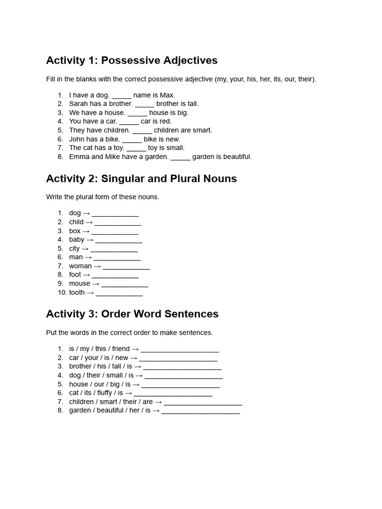 Possessive Adjectives and Nouns Exercises | PDF
