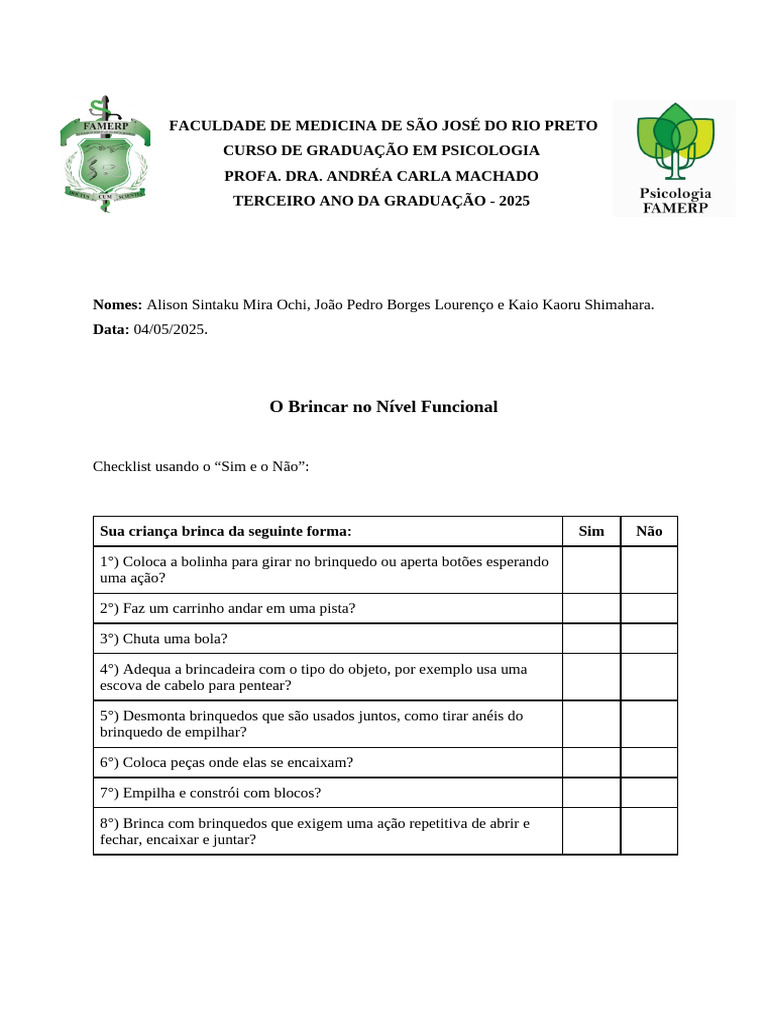 Checklist Do Brincar No Nível Funcional | PDF