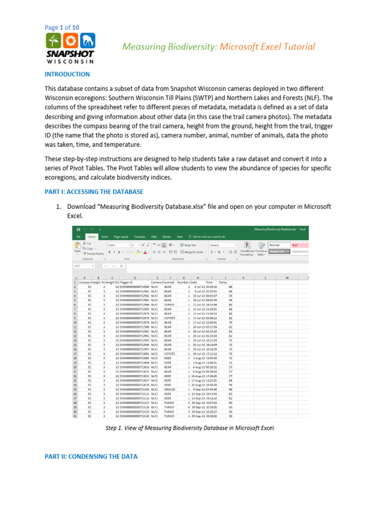 Measuring Biodiversity Excel Instructions | PDF | Microsoft Excel | Computing