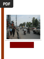 Reproductive System of Frog | PDF | Testicle | Sperm