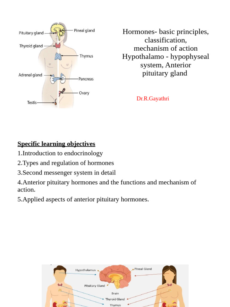Hormones Intro & Ant Pituitary | PDF | Endocrine System | Hormone