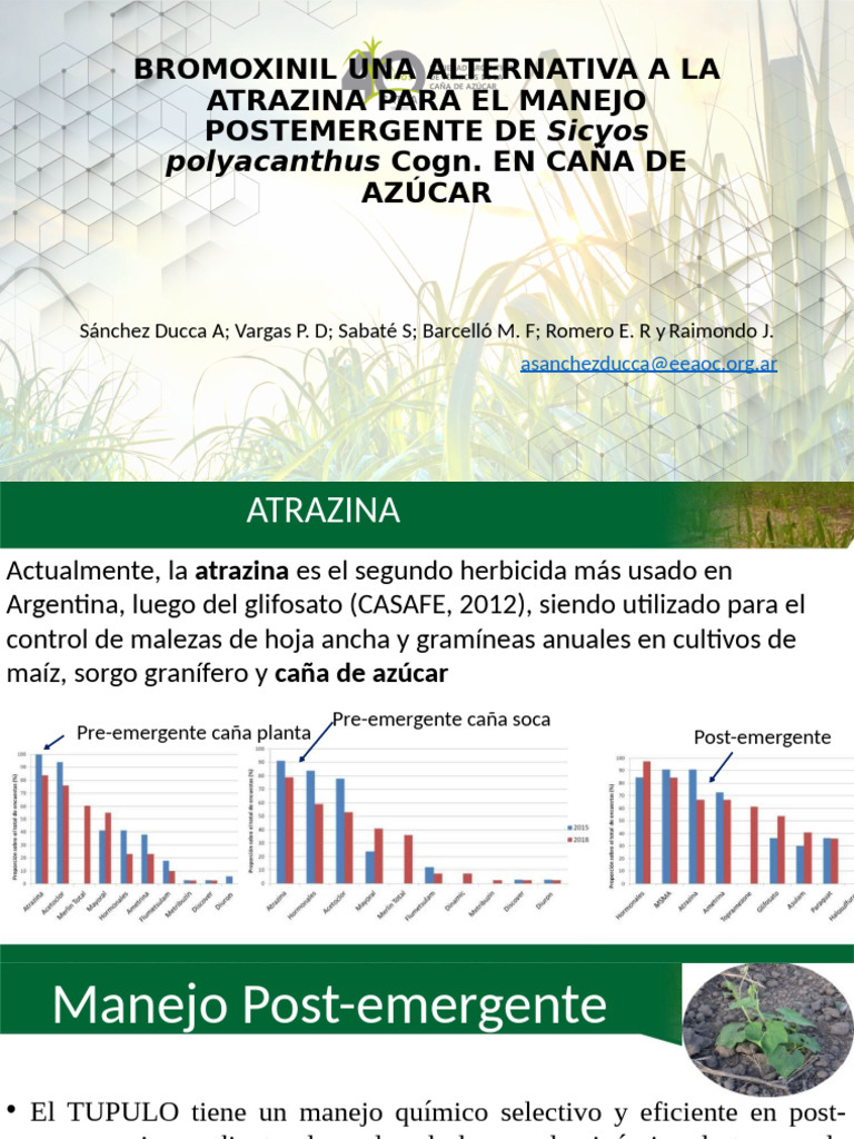 Bromoxinal - Sanchez Ducca | PDF | Herbicida | Agricultura