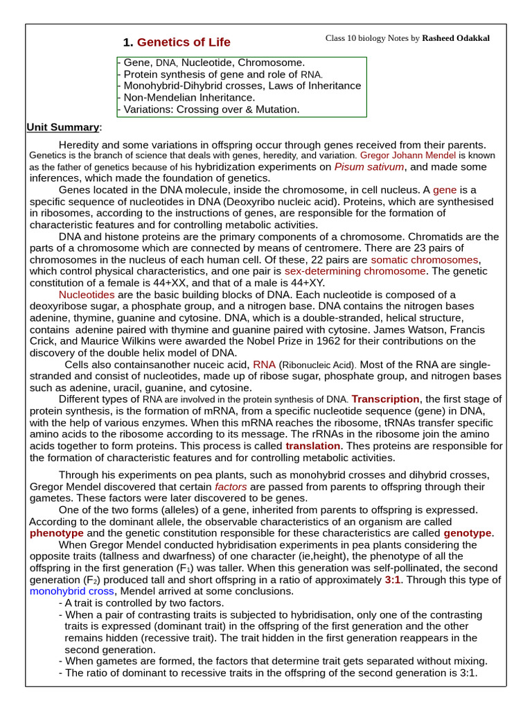 Class 10 Genetics of Life Notes | PDF | Gene | Dominance (Genetics)
