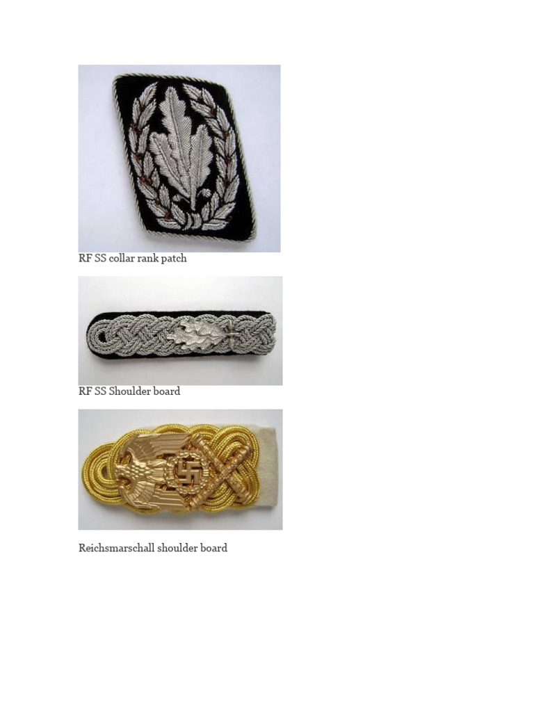 AAA ZZZ Fake Insignia For Royster 2 | PDF