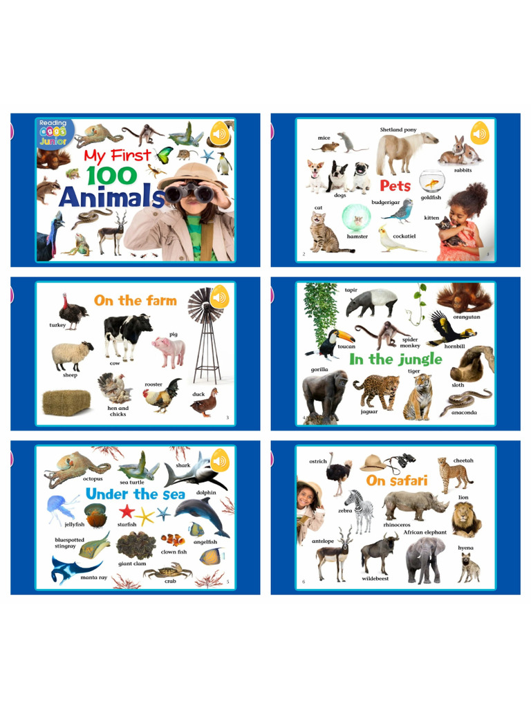 Animals | PDF