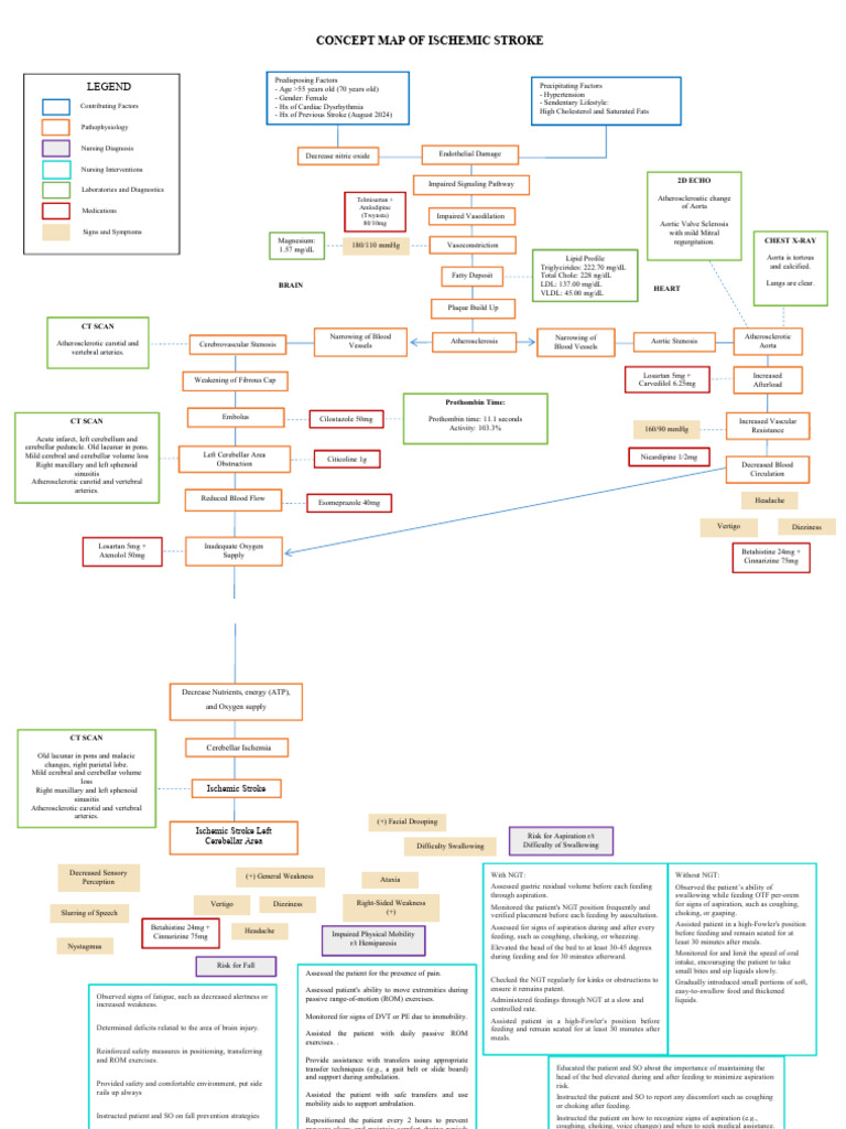 Ischemic Stroke Concept Map Overview | PDF | Atherosclerosis | Stroke