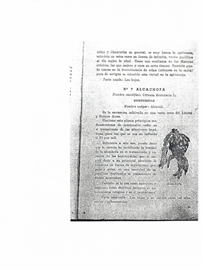 Libro Yuyos | PDF