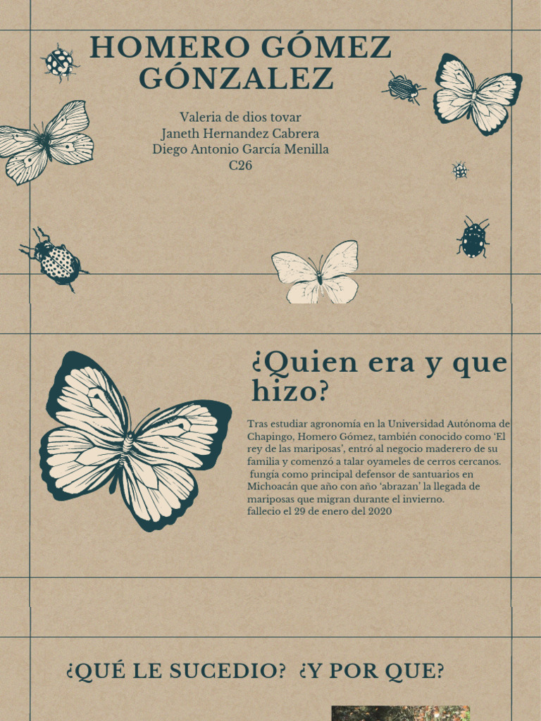Presentación de Ciencias Mariposas e Insectos Scrapbook Ilustrado Azul ...