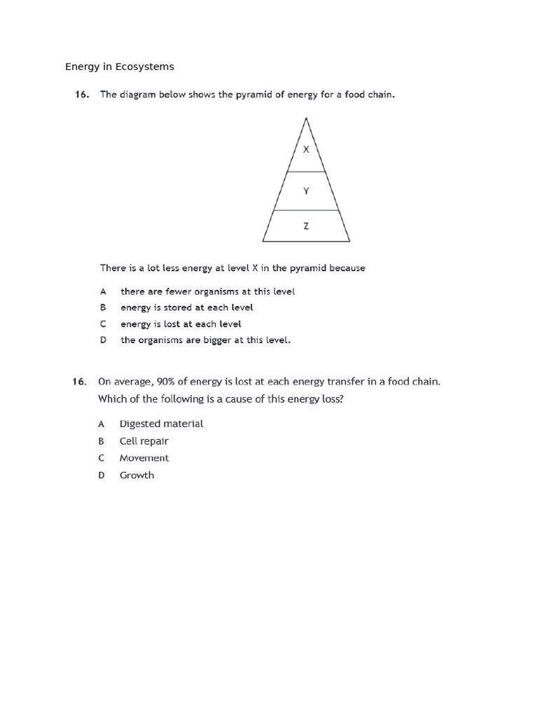 3.4 Energy in Ecosystems QP | PDF