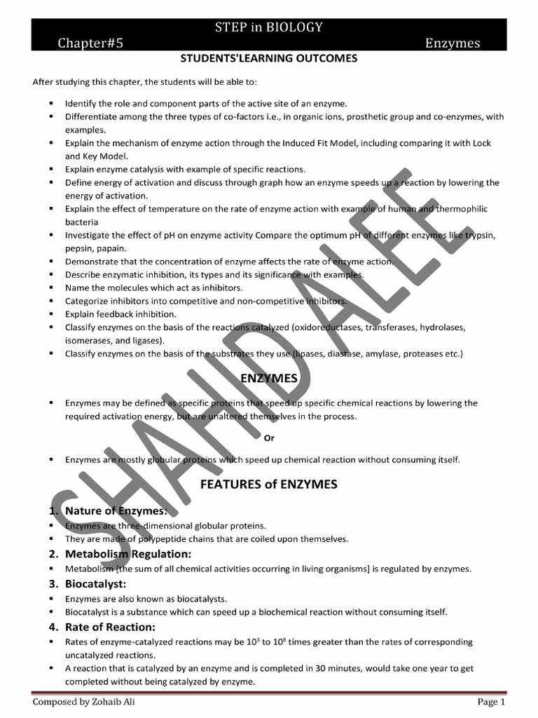 Chapter-5 Enzymes Complete | PDF