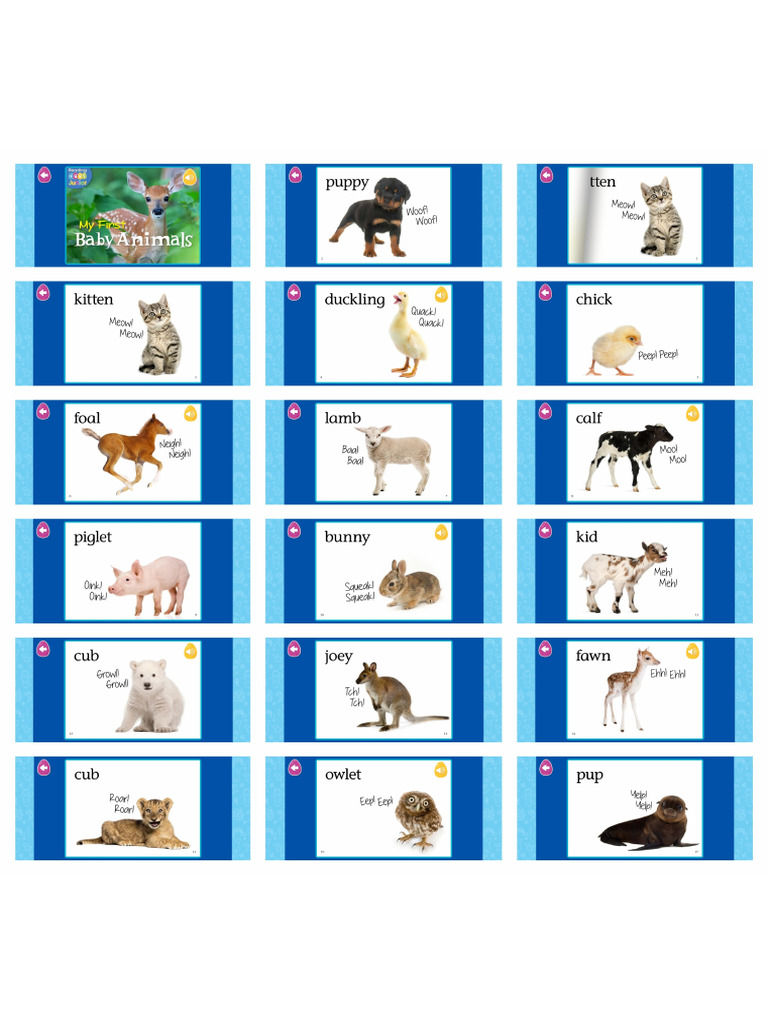 Baby Animals | PDF