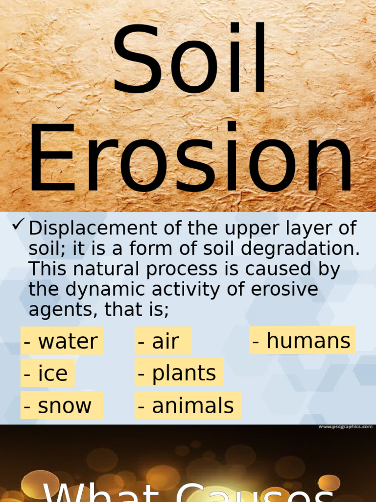 Causes and Prevention of Soil Erosion | PDF