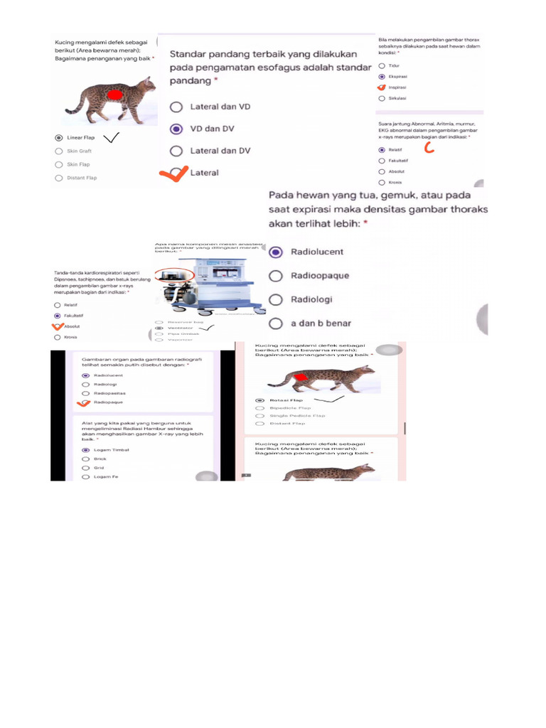 Soal Ujian CBT Part 2 | PDF