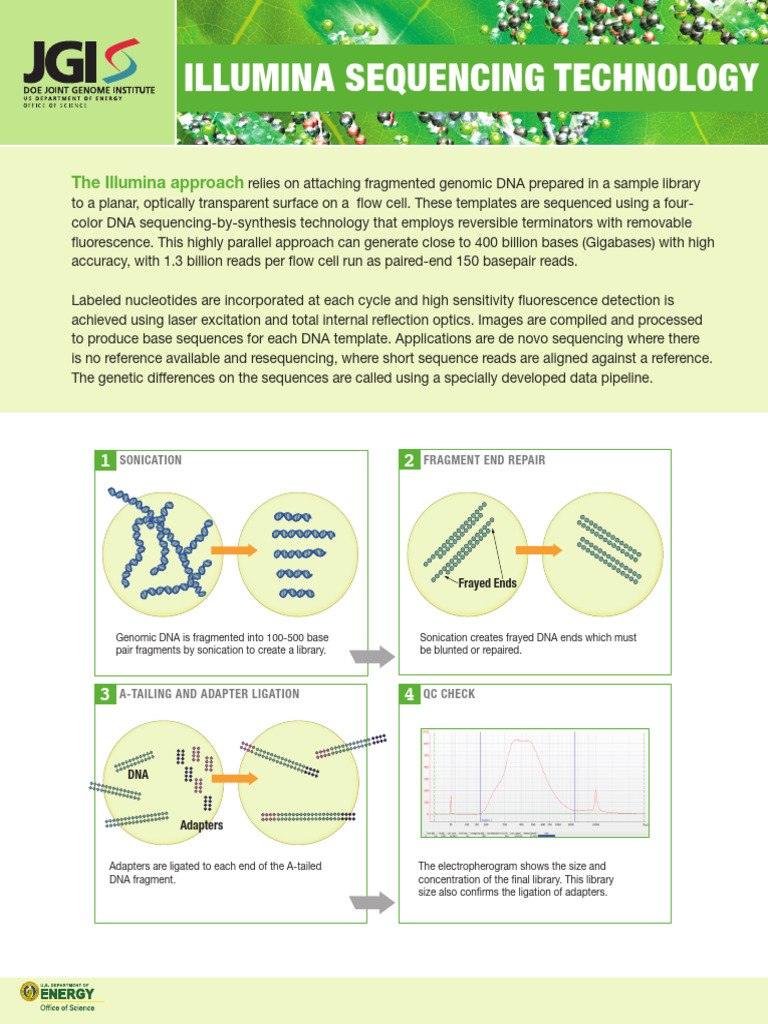 DOE JGI Illumina HiSeq Handout | PDF | Dna Sequencing | Sequencing