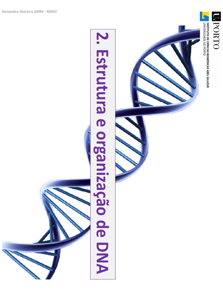 01-Estrutura e Organização de DNA | PDF | Histona | DNA