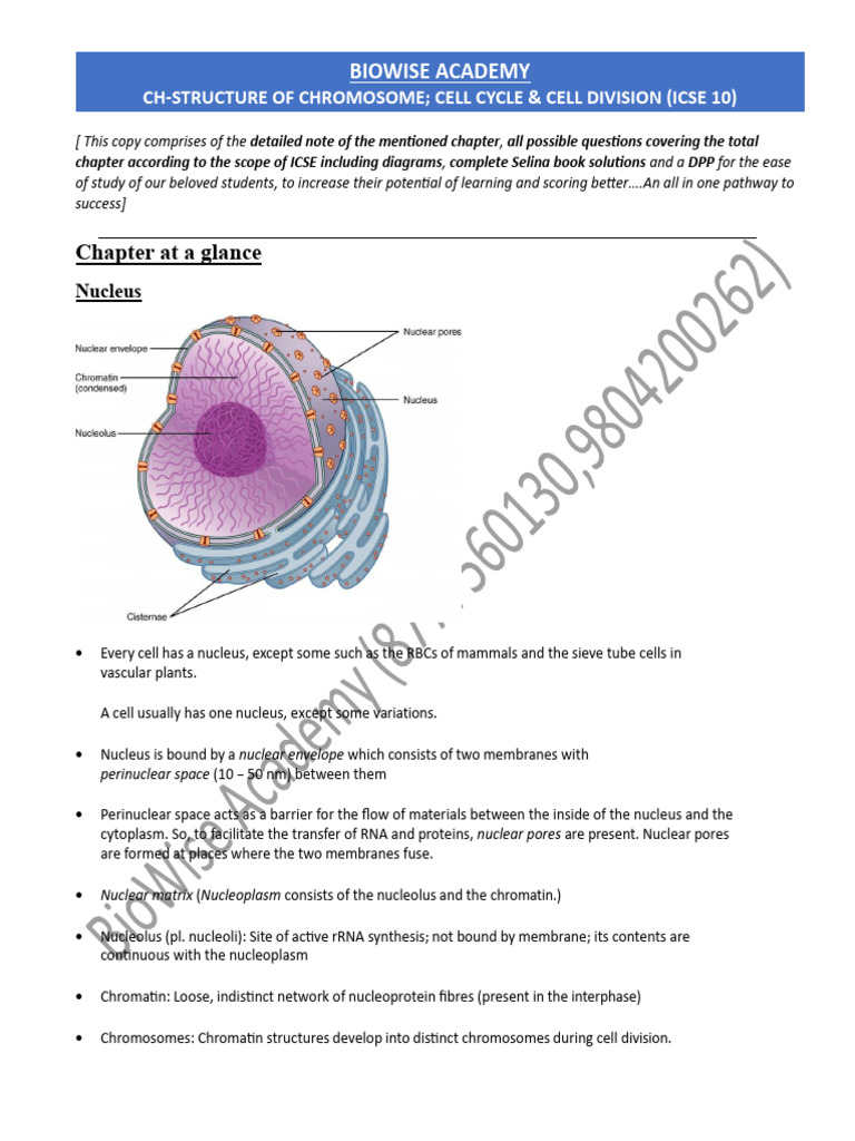 Chromosome Structure & Cell Cycle Guide | PDF | Mitosis | Meiosis