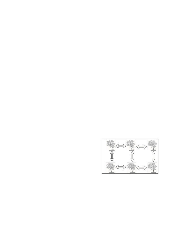 Orchard Layout Methods Explained | PDF | Rectangle | Trees
