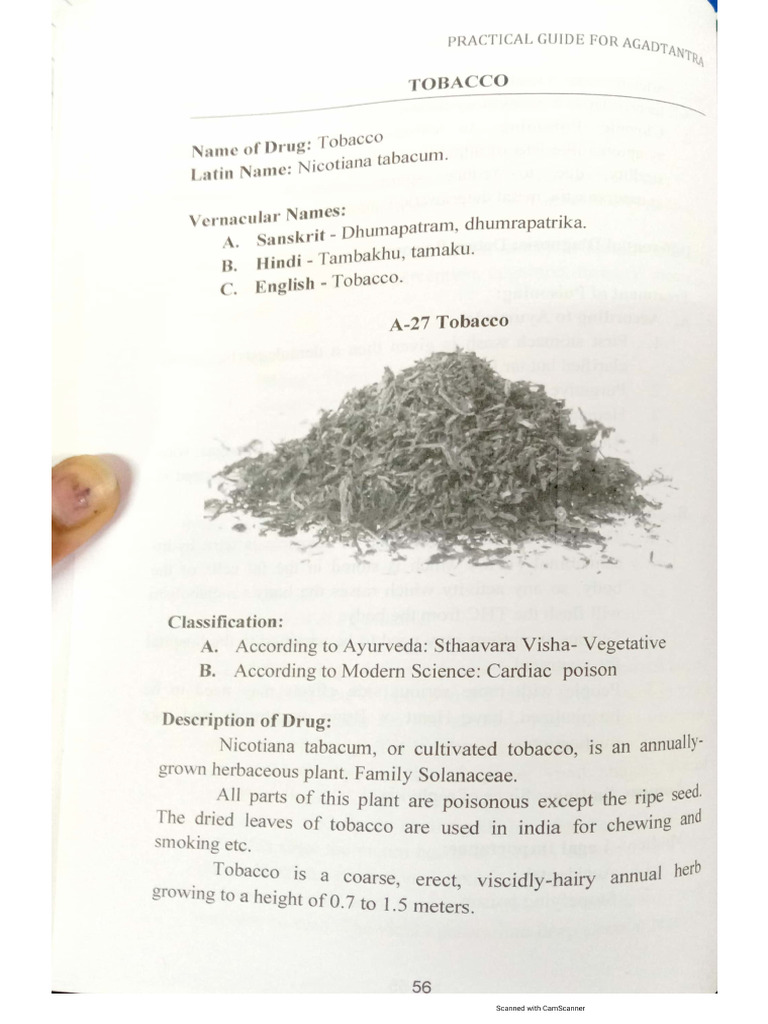 Tobacco | PDF