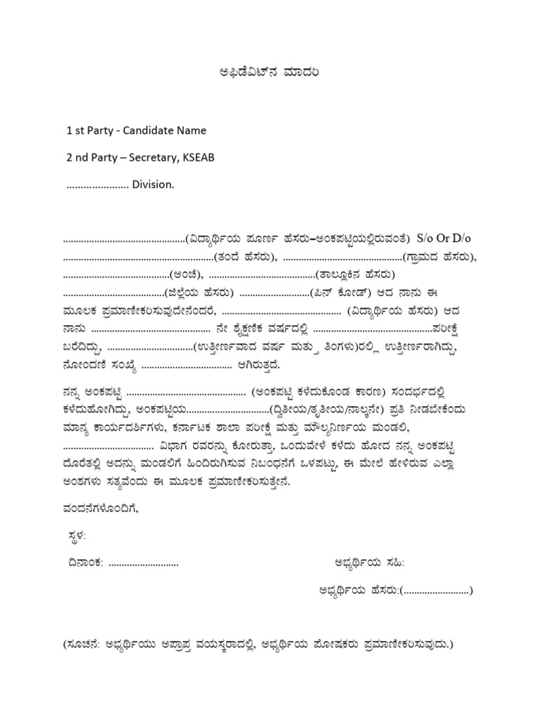 New DPC Affidavit | PDF