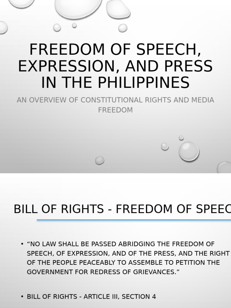 Freedom of Speech and Journalism | PDF | Freedom Of The Press | Freedom ...