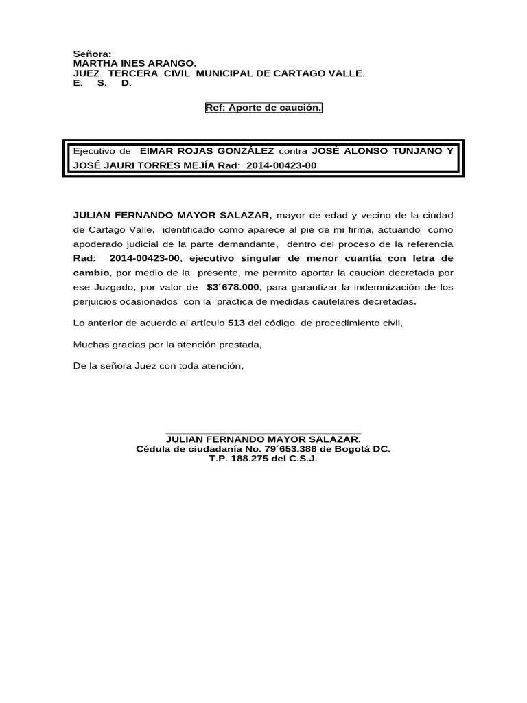 Aporte de Caución | PDF