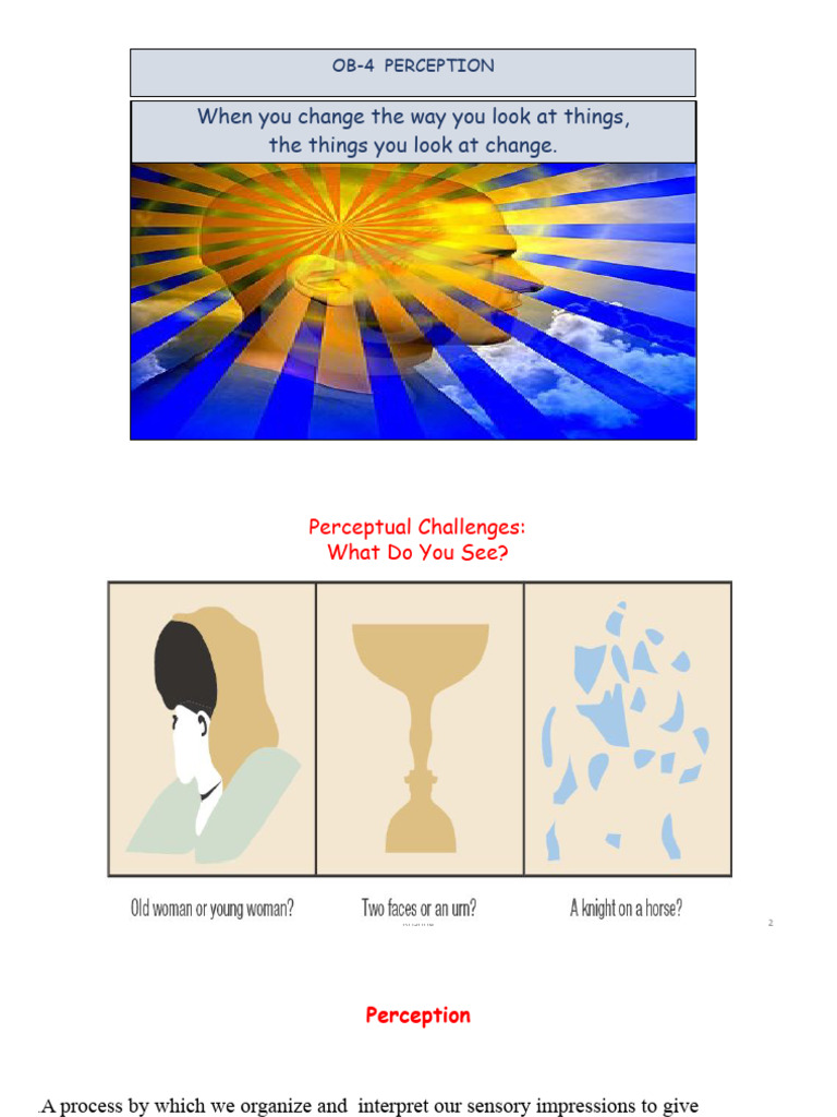 Understanding Perception and Its Impact | PDF | Perception | Senses
