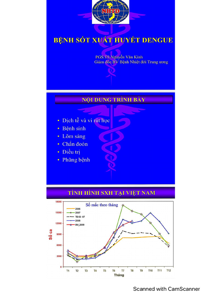 PHÁC ĐỒ ĐIỀU TRỊ SXH DENGUE | PDF
