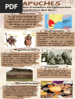 Vestimenta tradicional mapuche: hombres y mujeres | PDF | Ropa | Alimentos