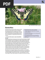 Butterfly Life Cycle and Characteristics | PDF | Butterfly | Insects
