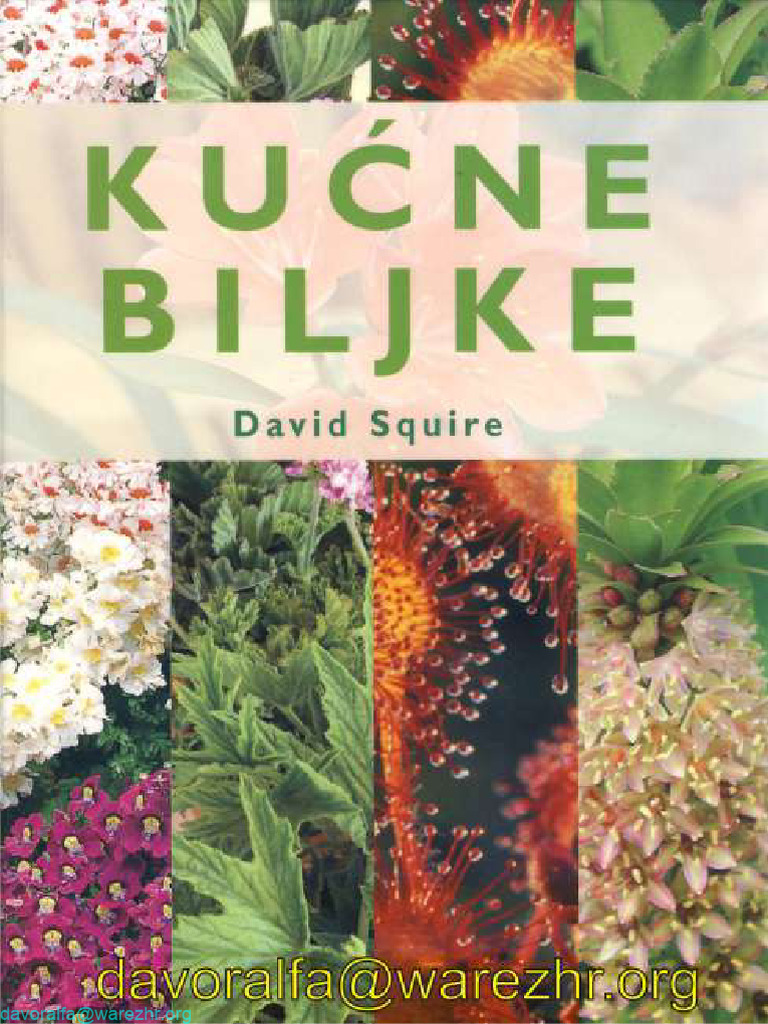 Kucne Biljke | PDF