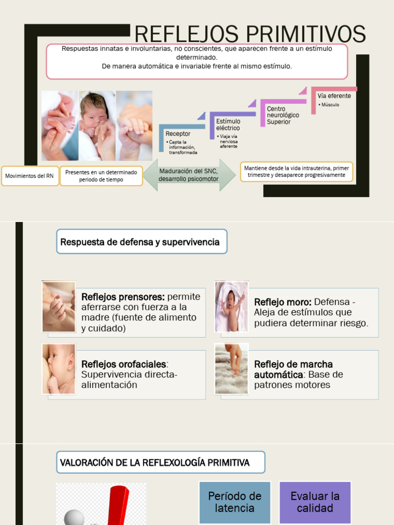 Reflejos Primitivos | PDF