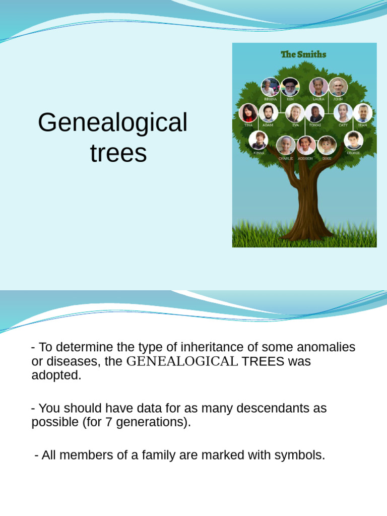 Week Practical Work | PDF