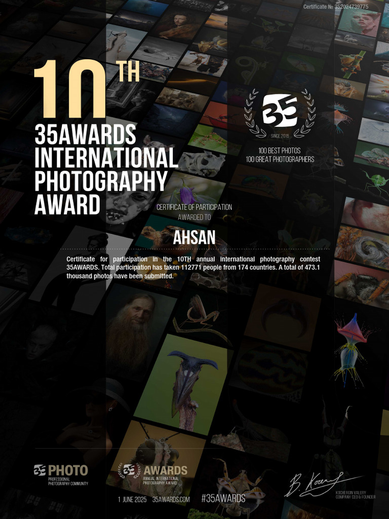 35awards2024 en | PDF