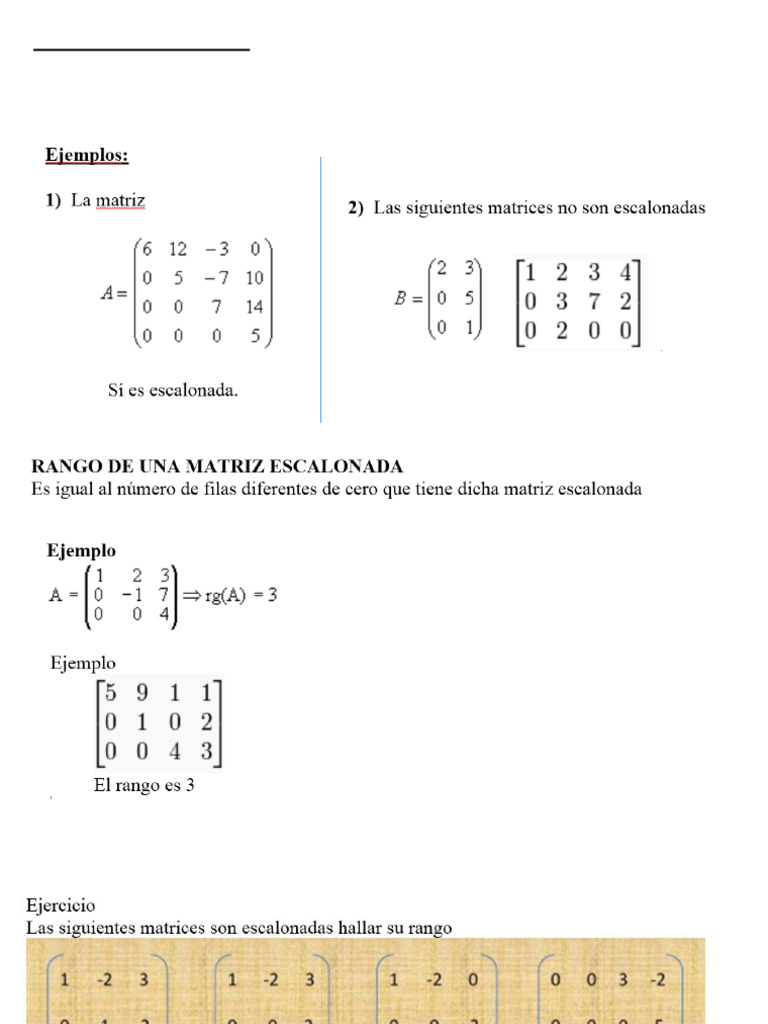 01.1.6.1 Matriz Escalonada - Rango - Profesor | PDF