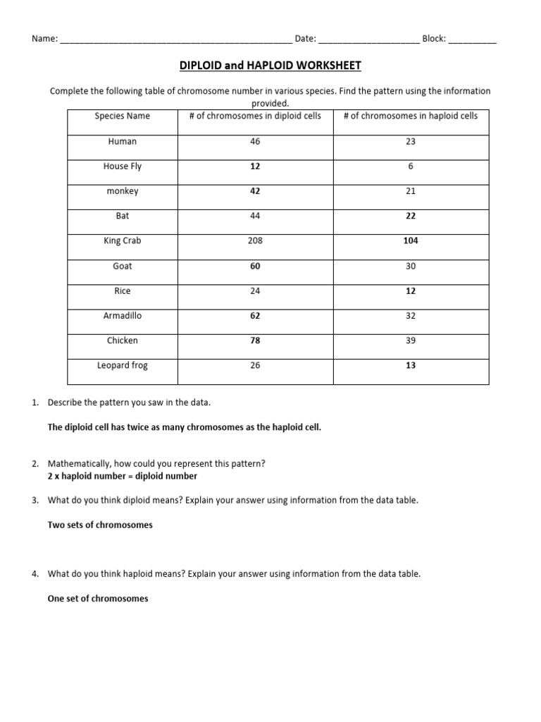 Diploid and Haploid Chromosome Worksheet | PDF | Ploidy | Cell Biology