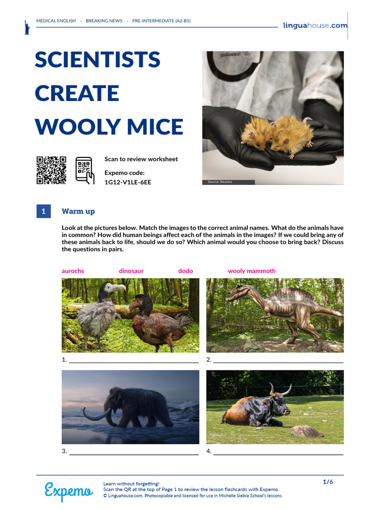 Scientists Create Wooly Mice American English Student A2 B1 | PDF | Mouse