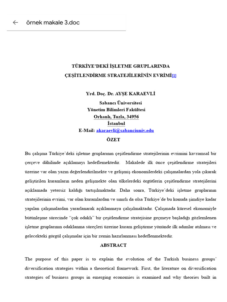 Örnek Makale 3 | PDF