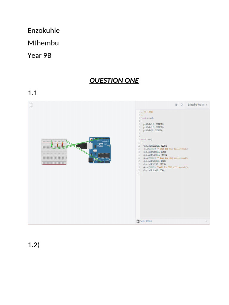 Enzokuhle Mthembu Year 9b | PDF