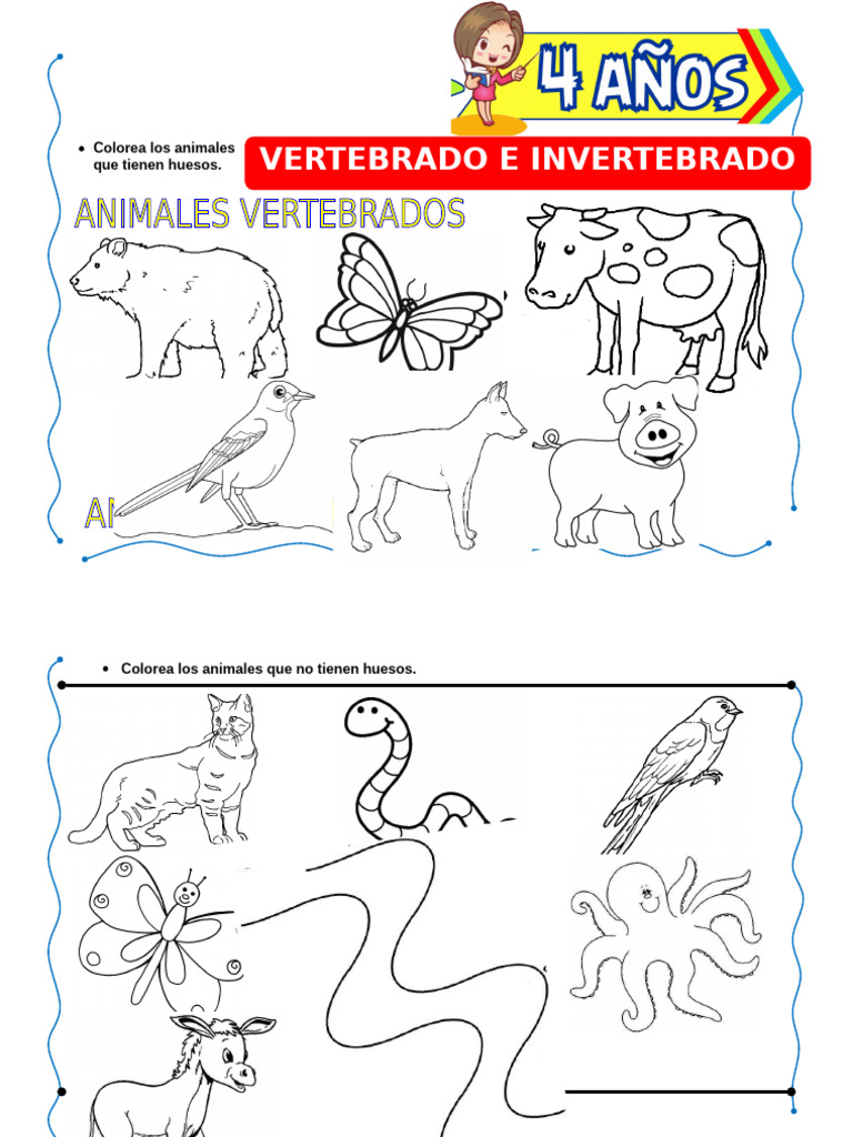 Animales Vertebrados e Invertebrados para NiÃ Os de 4 AÃ Os | PDF