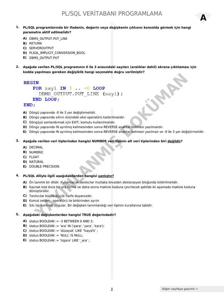 Vize PLSQL 2023 Güz | PDF